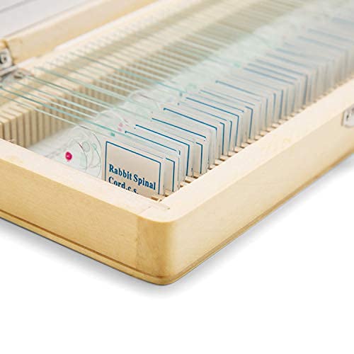 50pcs Prepared Premade Microscope Slides Set for Basic Biological Scie ...
