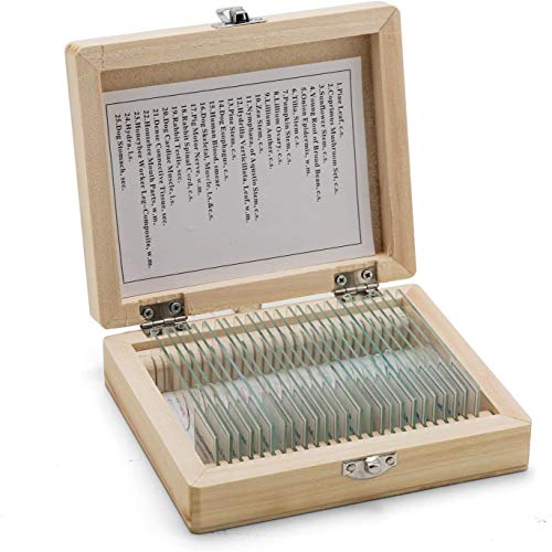 25 PCS Prepared Premade Microscope Slide Set with Specimen for Basic B ...