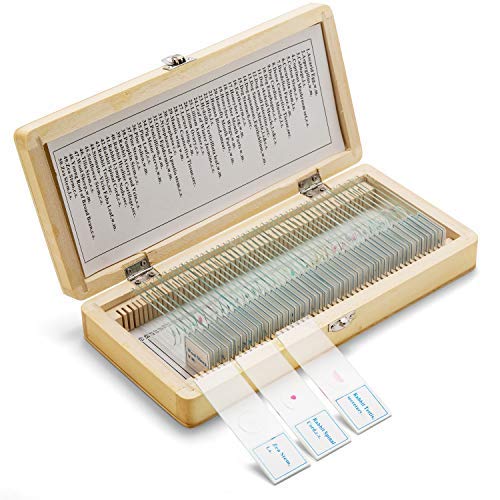 50pcs Prepared Premade Microscope Slides Set for Basic Biological Scie ...